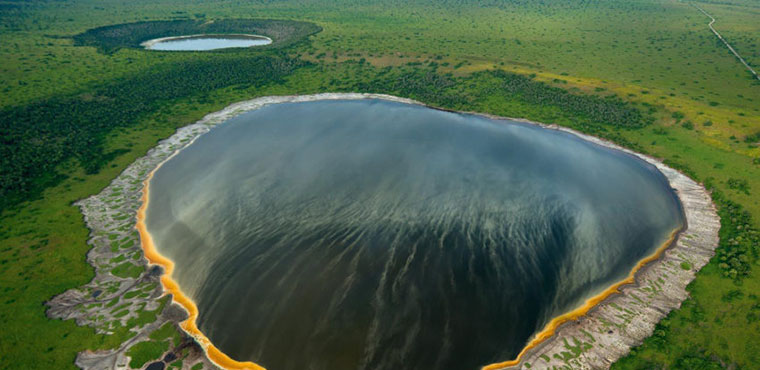 Kitulo Plateau National Park - Tanzania Specialist