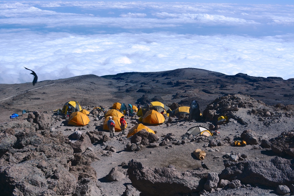 Beklimming Lemosho Route dag 5/7: Karanga Camp (4040 m) - Barafu Camp ...