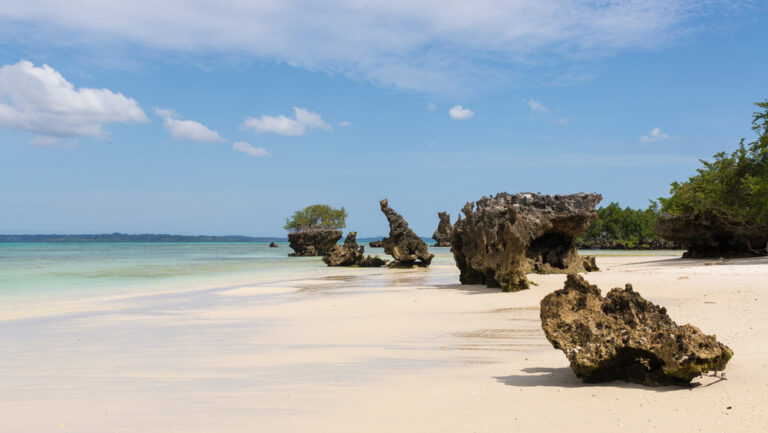 Jouw Droomvakantie naar Pemba! | Tanzania Specialist