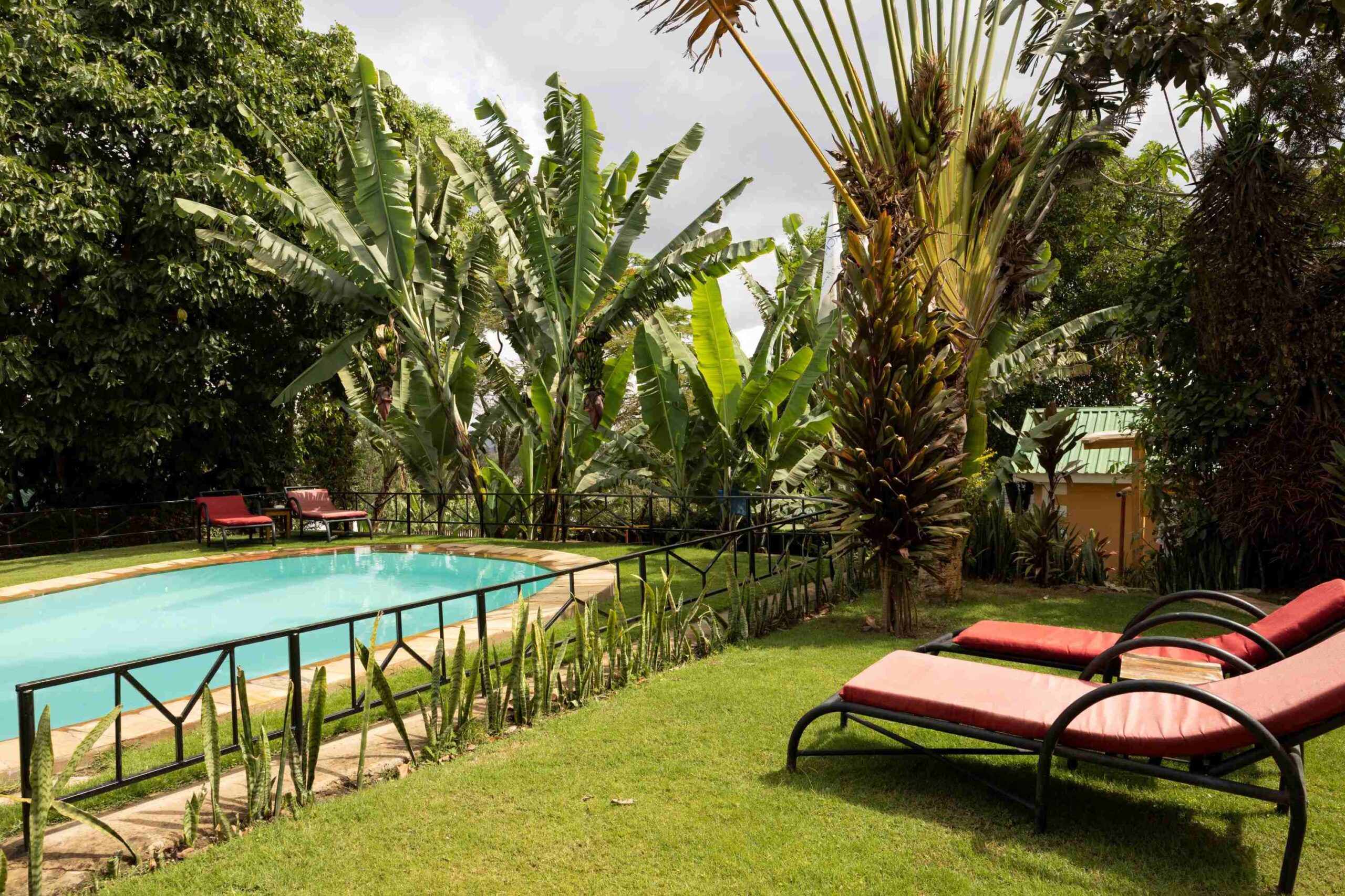 Africa Safari Arusha | Tanzania Specialist