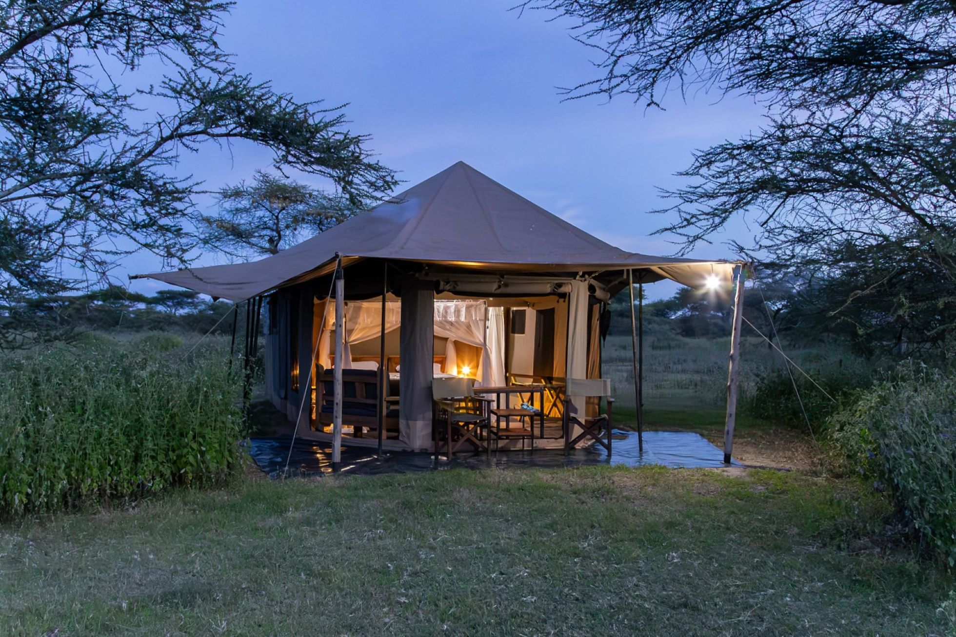 The Canopy Migration Camp - Ndutu | Tanzania Specialist